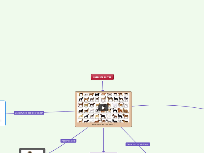 razas de perros - Mind Map